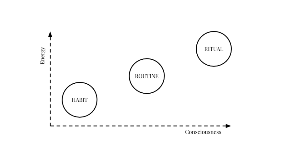 How To Create An Evening Routine or Ritual - Erica Diamond