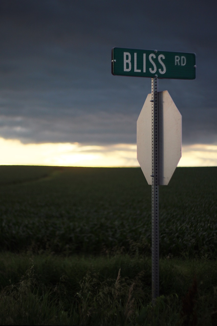 4 Steps To Finding Your Bliss - Erica Diamond